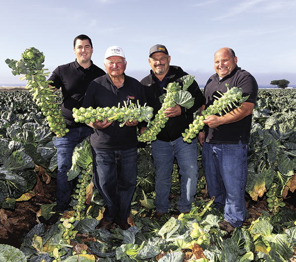 California Bountiful