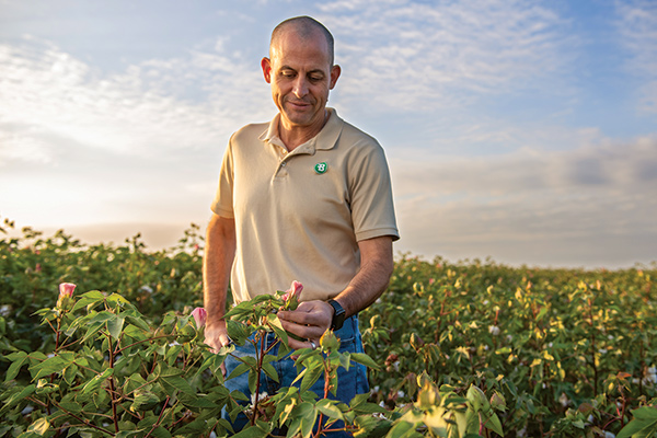 California Bountiful