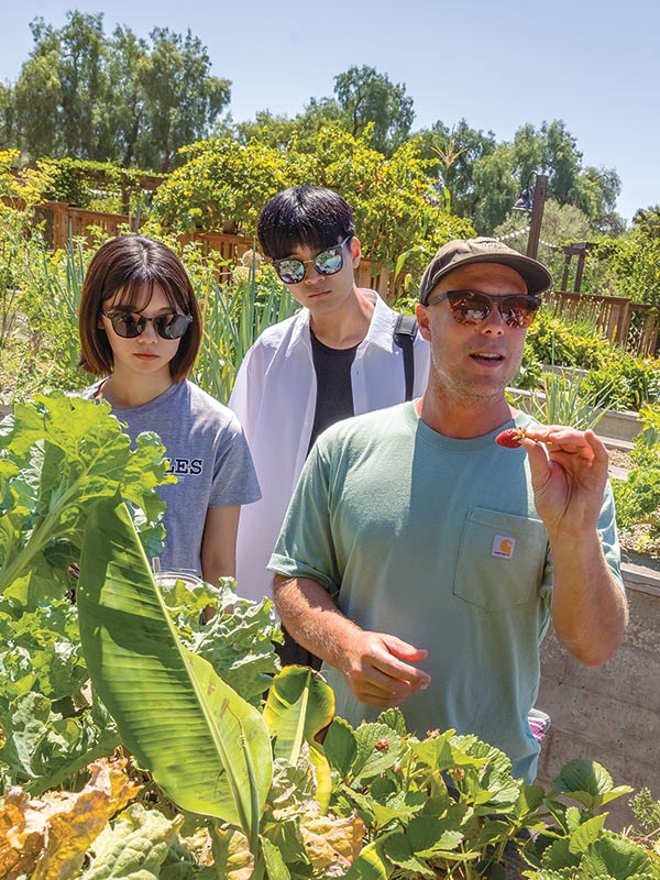 California Bountiful