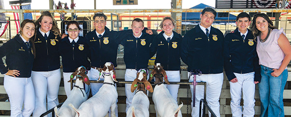 California Bountiful