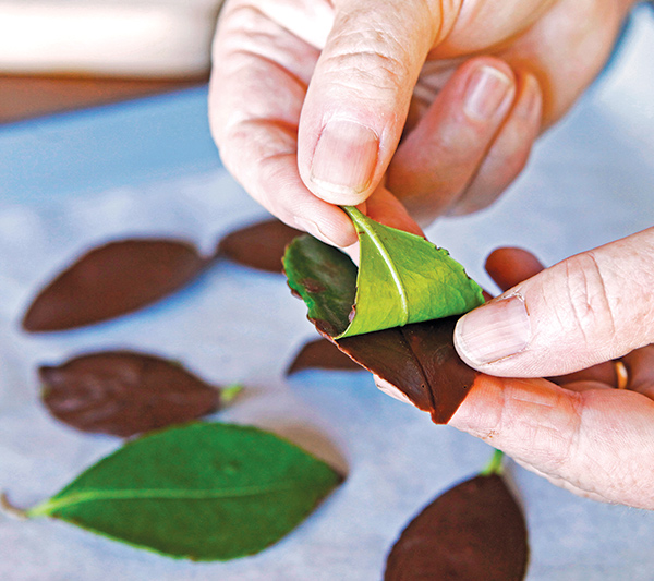 California Bountiful