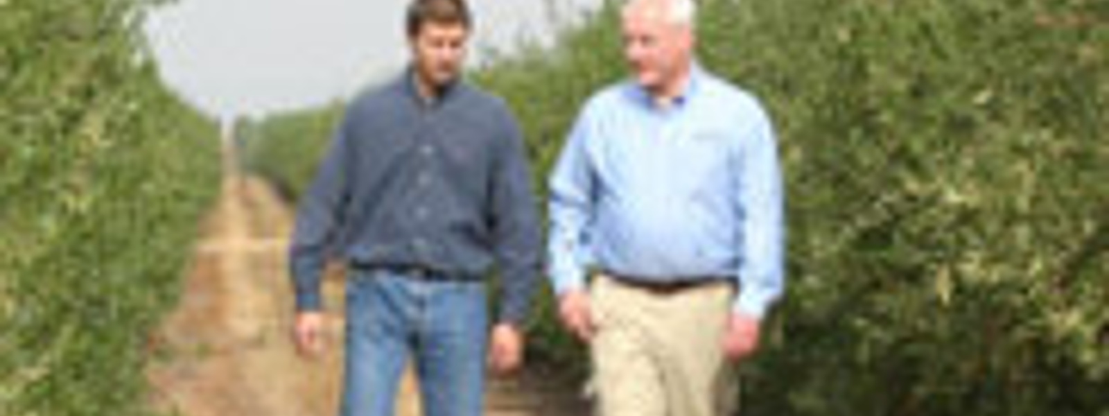 California Bountiful