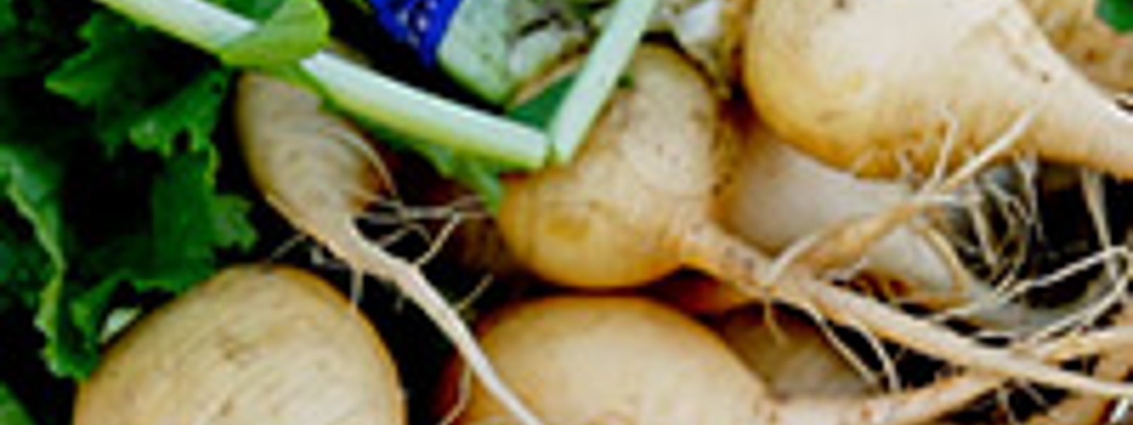 California Bountiful