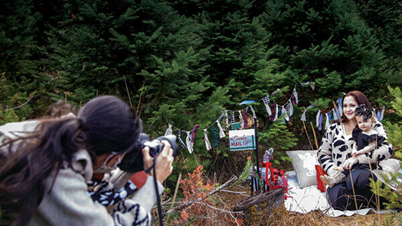 California Bountiful