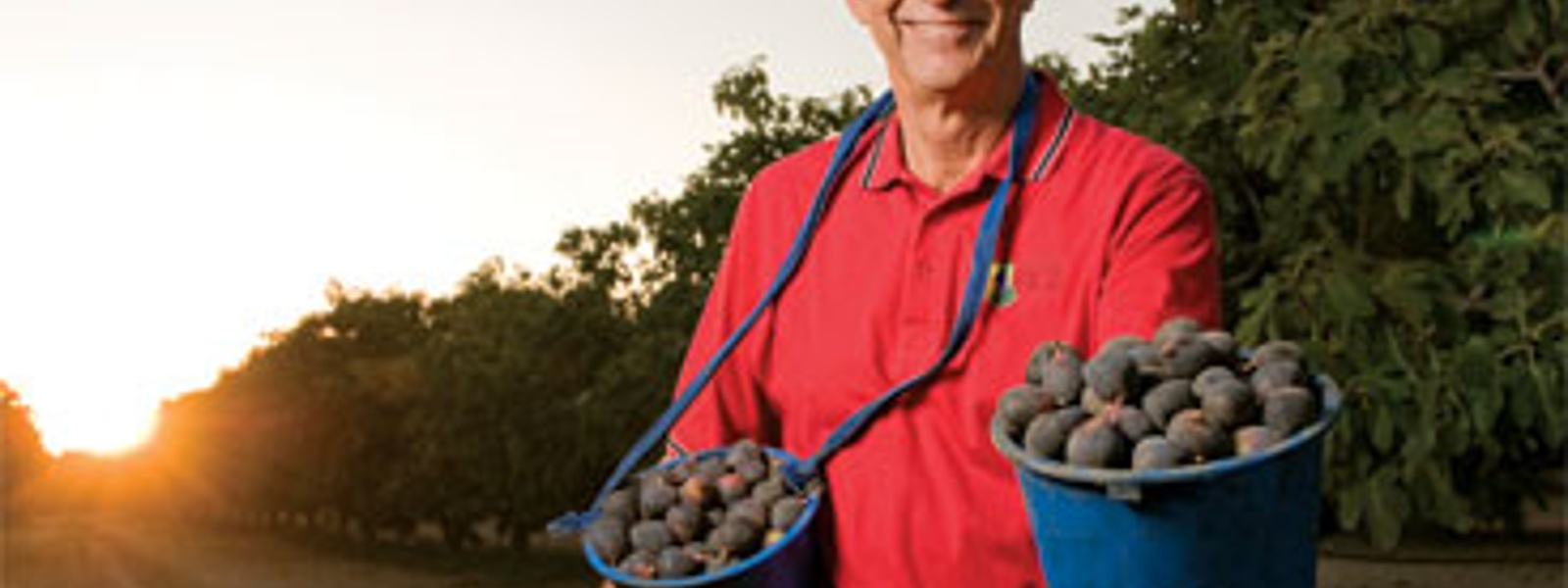 California Bountiful