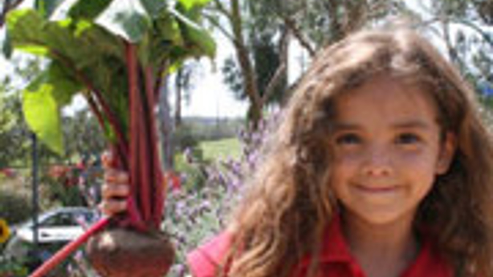 California Bountiful