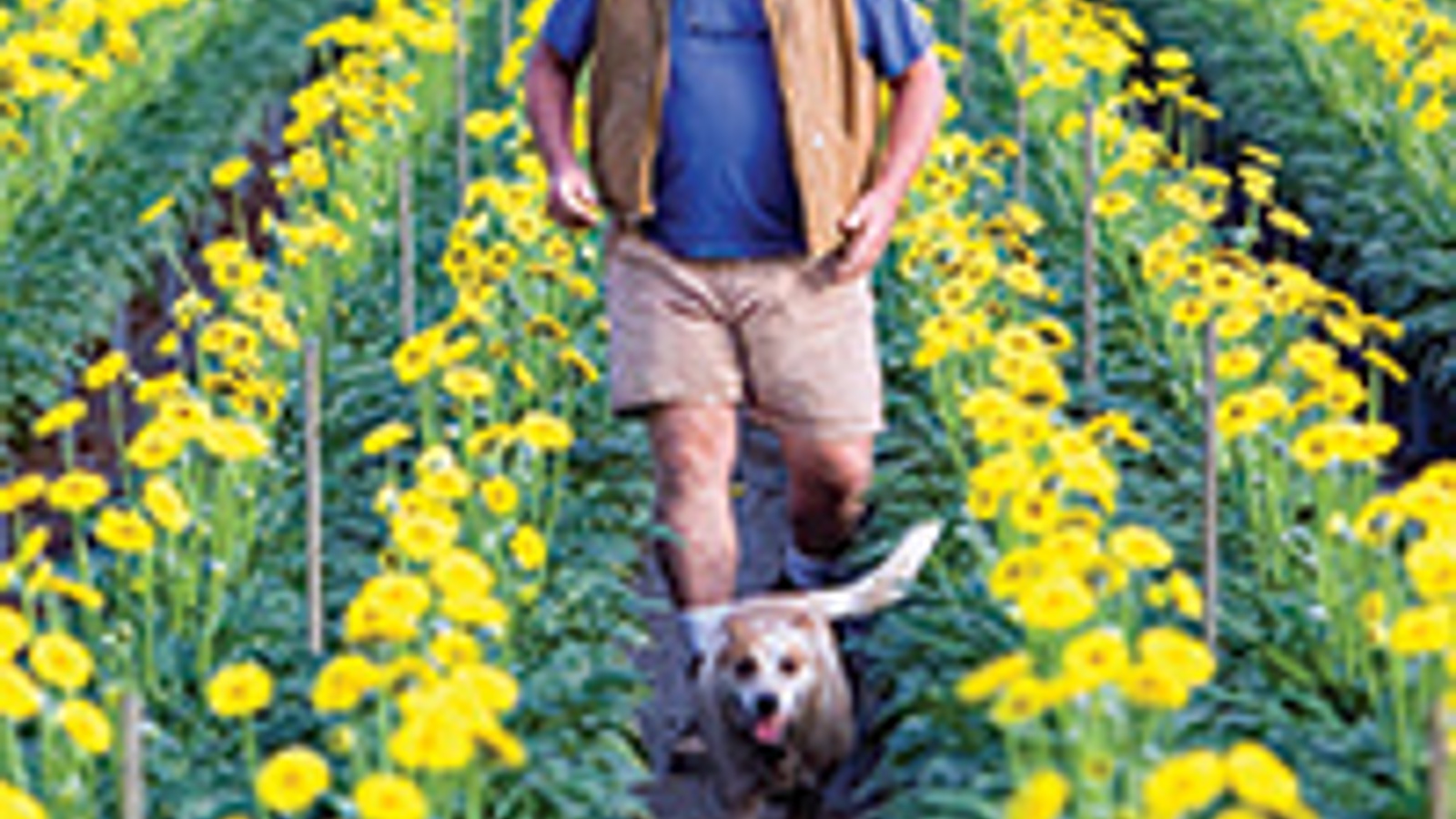 California Bountiful