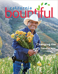 California Bountiful