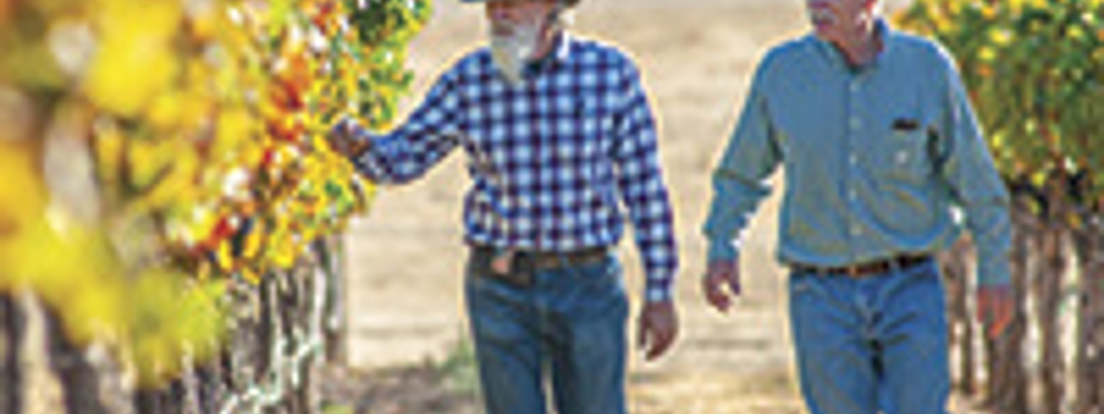 California Bountiful